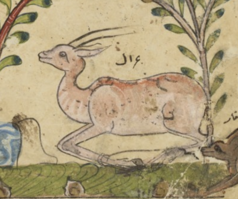 Award-winning Short Fiction: Raja Alem’s ‘The Boa’ – ARABLIT & ARABLIT ...